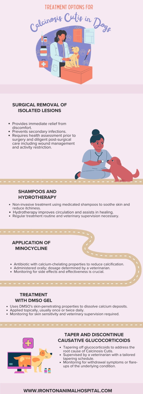 5 Modern Treatment Options for Calcinosis Cutis in Dogs - A Detailed ...