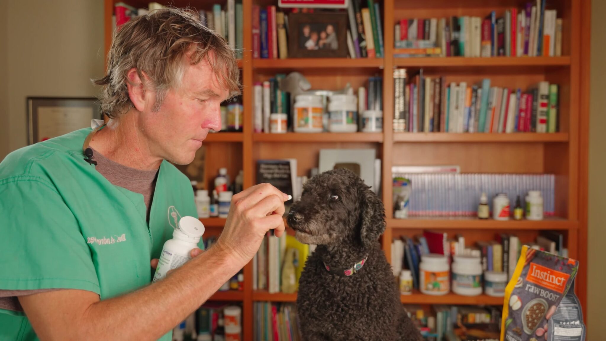 Life Expectancy of a Dog with Dilated Cardiomyopathy: Prognosis Factors ...